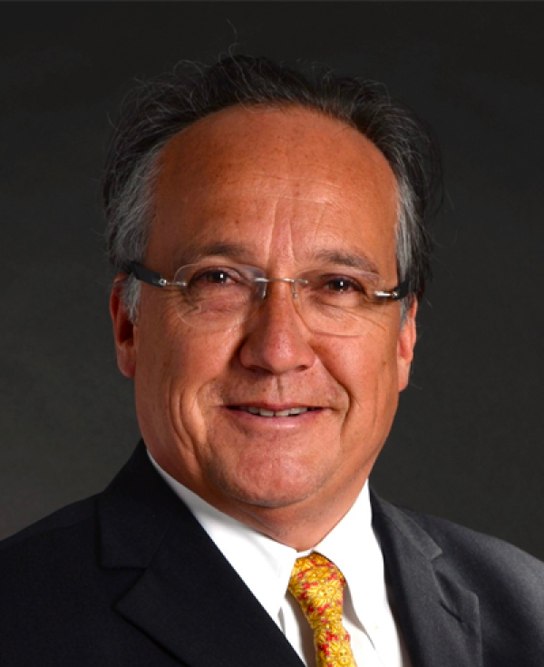 Pierre-Albert Vial - Mce Legal